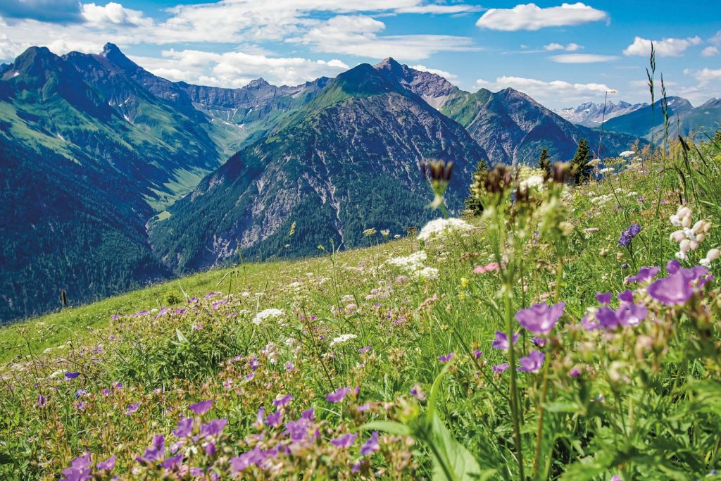 Souvenirs und Merchandising aus dem Lechtal